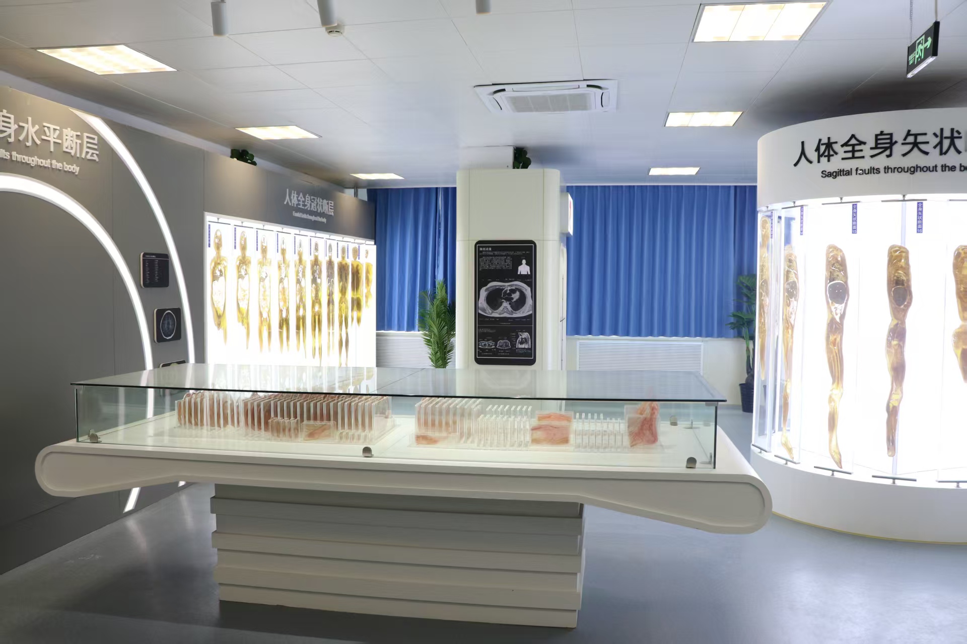 山东第一医科大学